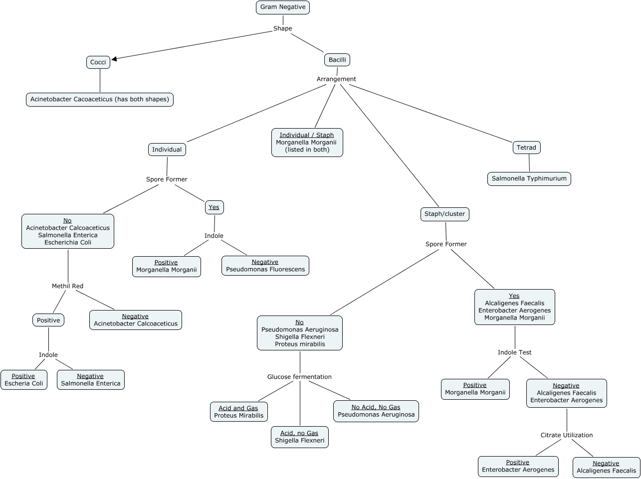 Pet Microbe Project (Josh, Kara, Raymond, Aaron)